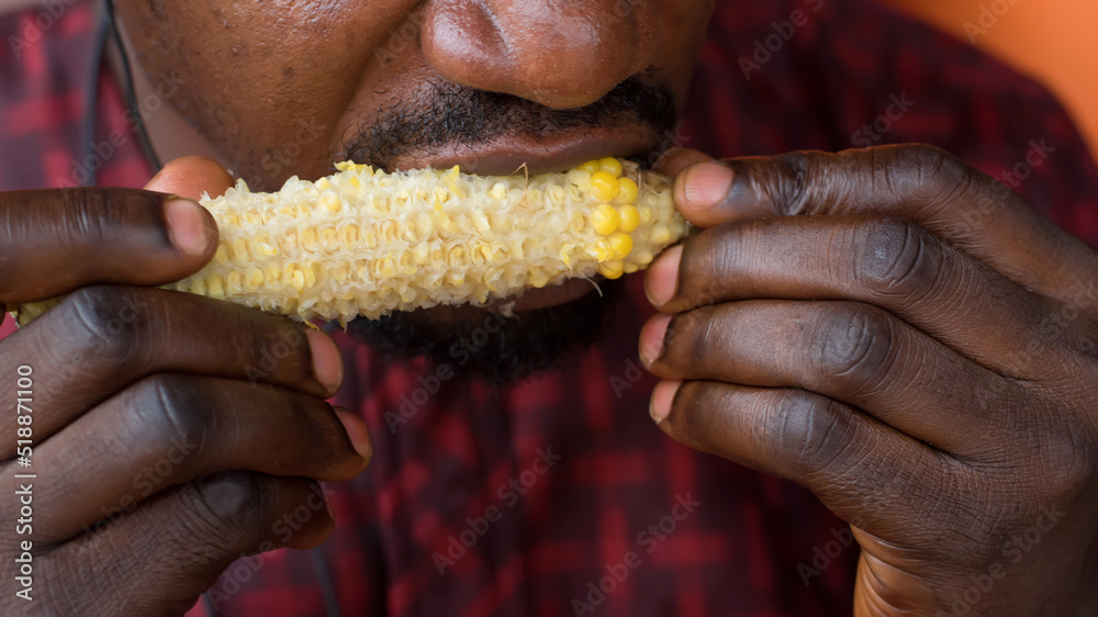 Mouth and hands of an African Nigerian male individual eating boiled ...