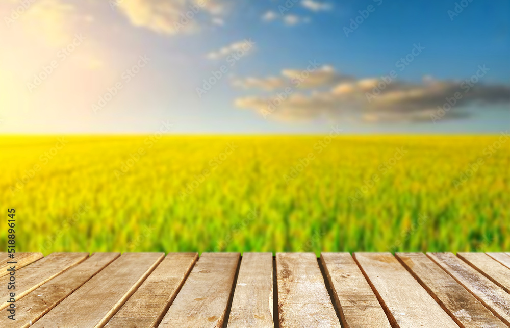 Wooden table top on blur rice field background in daytime.Harvest rice ...