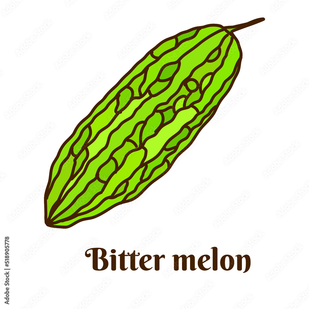 Hand drawn flat cartoon vector illustration of bitter melon, balsam ...