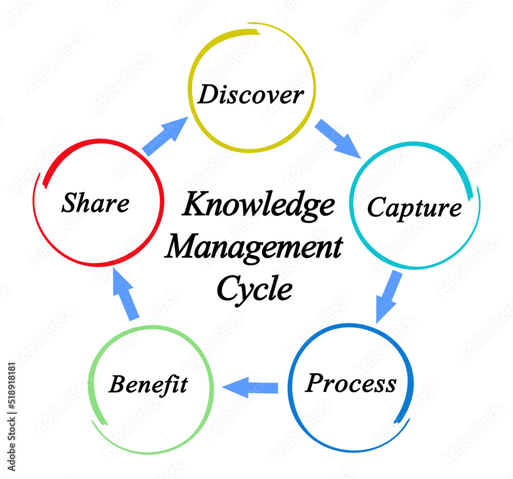 Components of Knowledge Management Cycle Stock Illustration | Adobe Stock