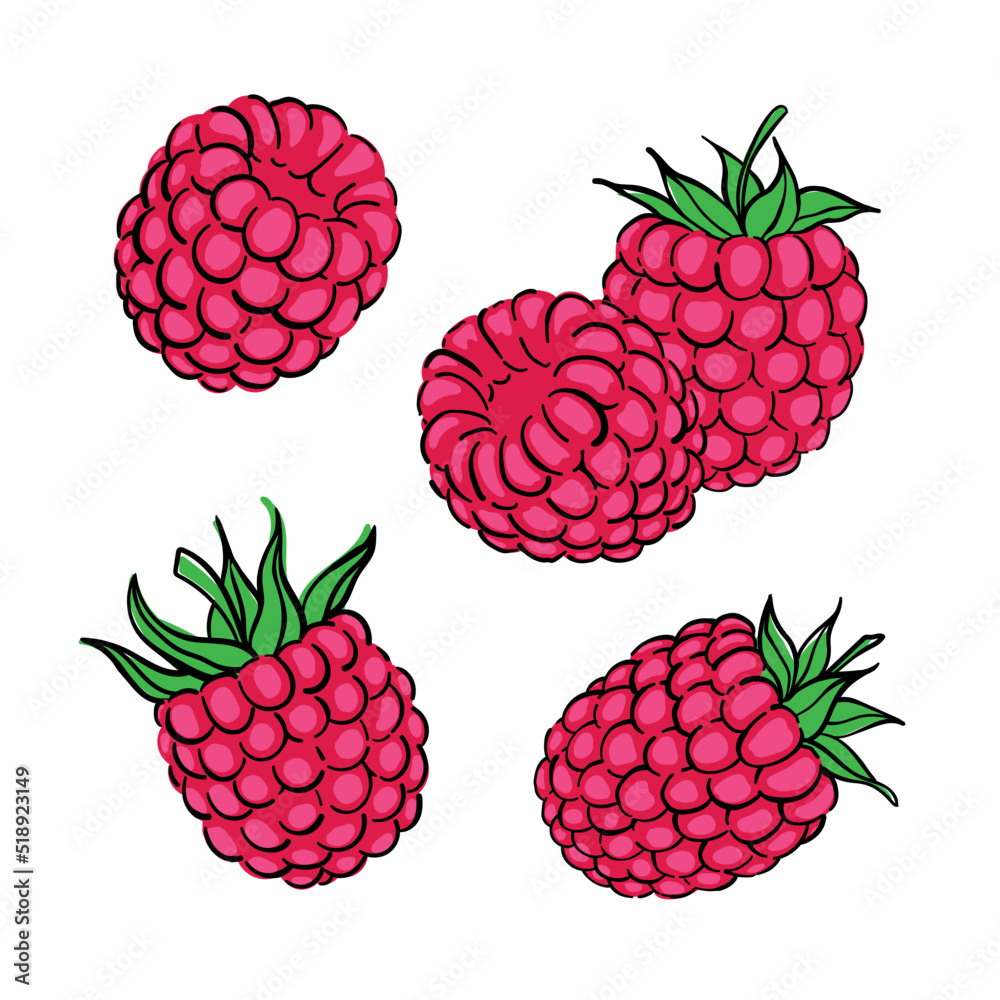 Tropical set doodle red raspberry. Hand drawn berries raspberry ... Tropical set doodle red raspberry. Hand drawn berries raspberry ...