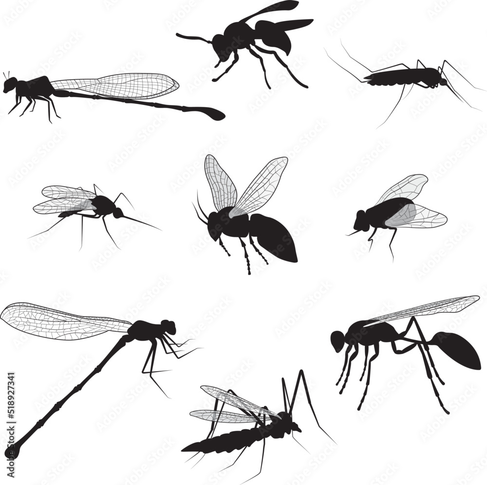 Silhouettes of Flying Insects. Vector Illustration Stock Vector | Adobe ...