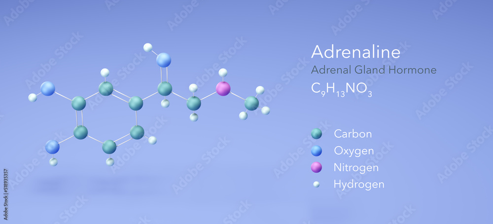 adrenaline, Adrenal Gland Hormone. Structural Chemical Formula and ...