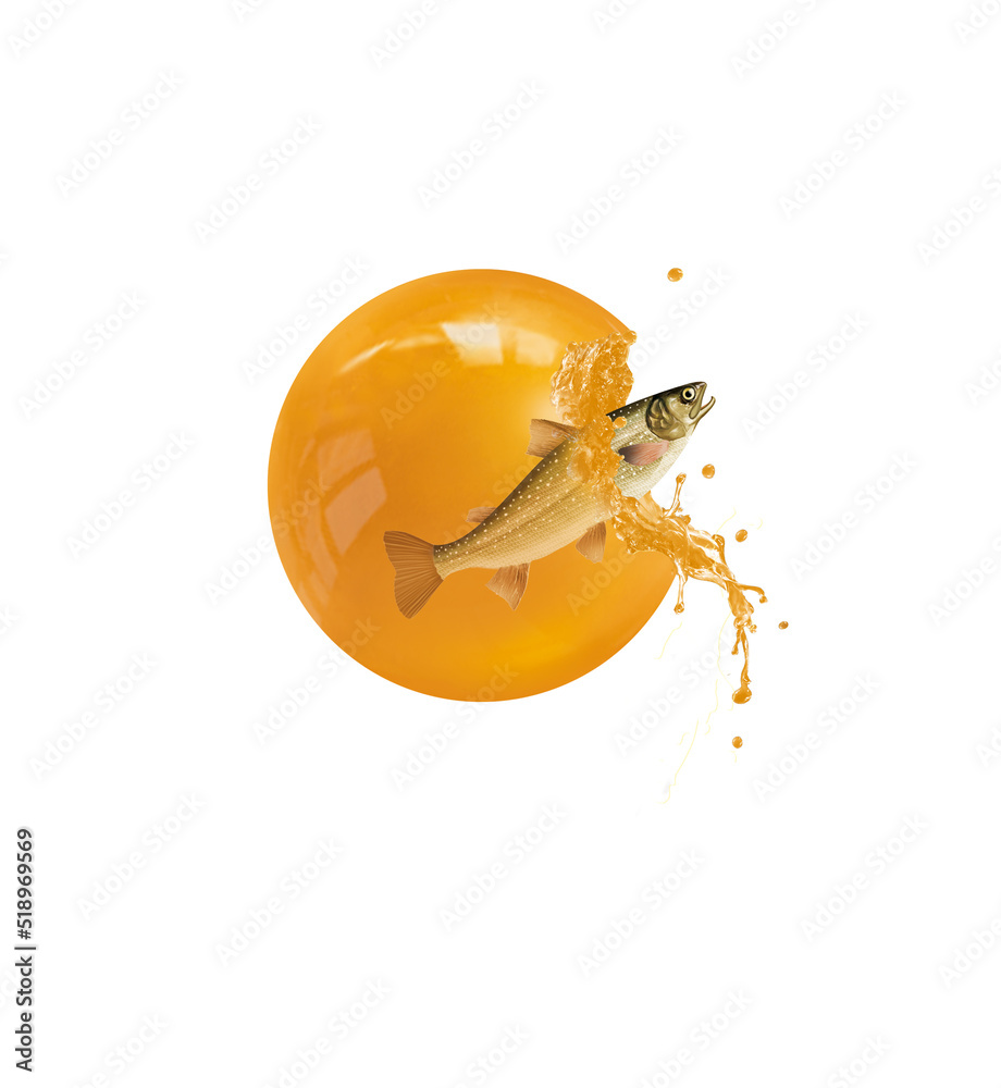 omble chevalier , oeuf de poisson, naissance, poisson, évasion, sortir ...