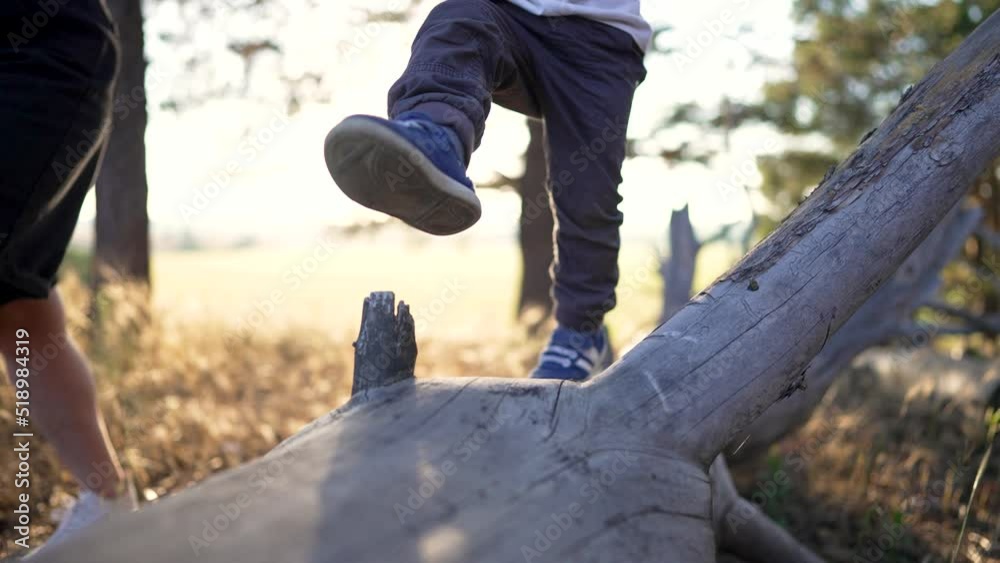 Little boy walk on log in park. child on log.Child in forest park walk ...