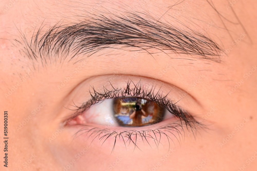 Detalle de un ojo humano con ceja y pestañas Stock Photo | Adobe Stock