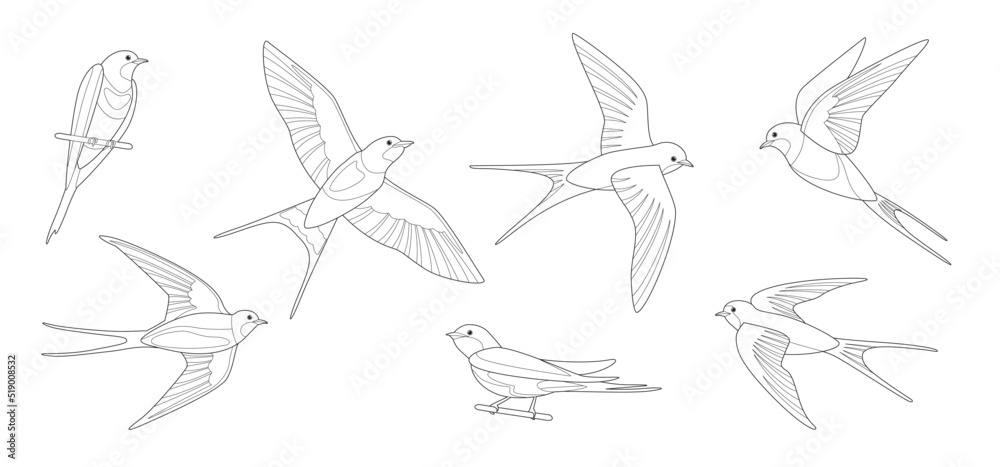 Outlined flying swallows. Coloring page of bird in flight. Vector flat ...