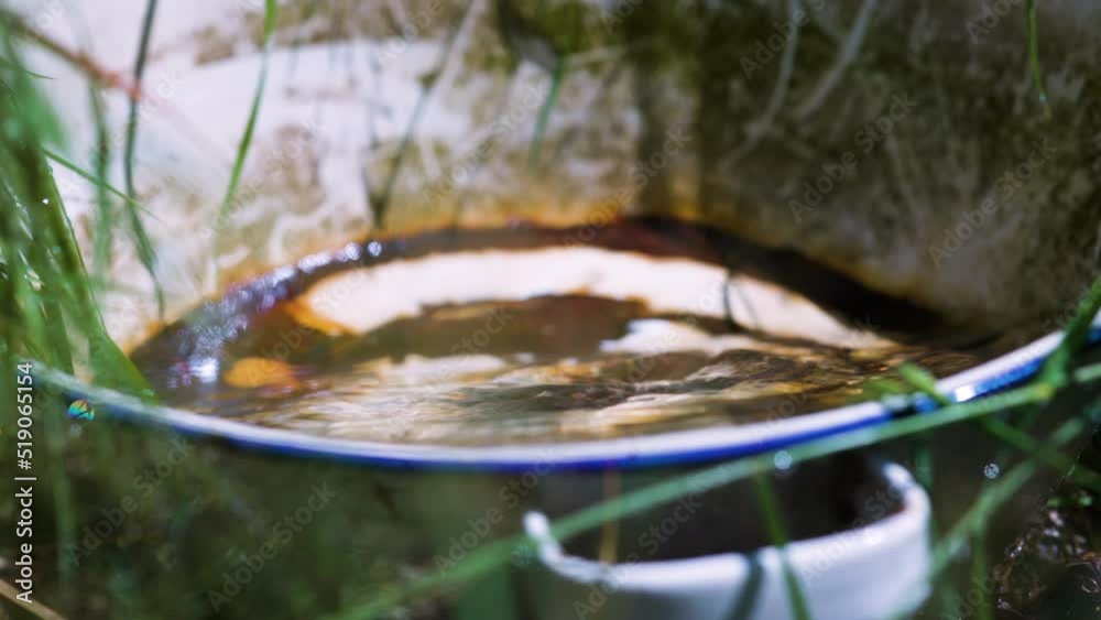 slow motion drip of rain into a rustic catch pan for rainwater ...