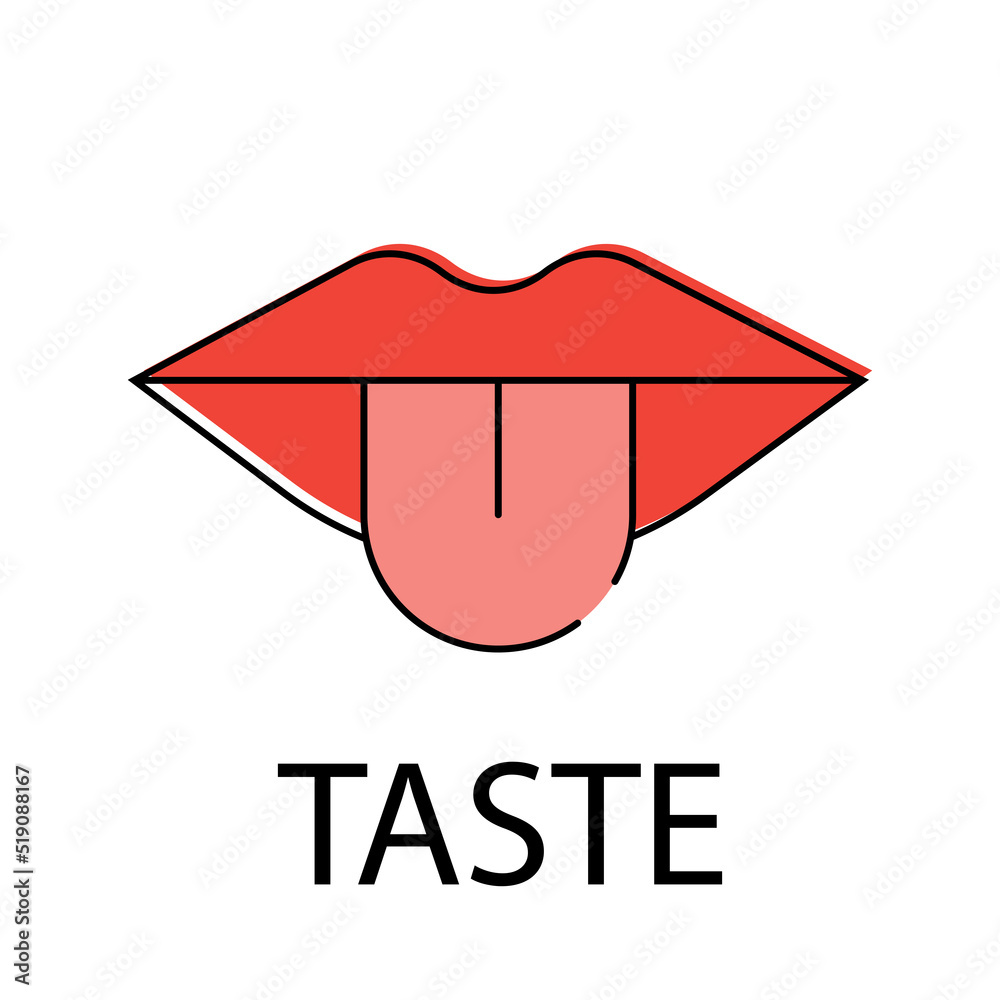 Organs of human anatomy taste. Human organs. The taste of the tongue ...