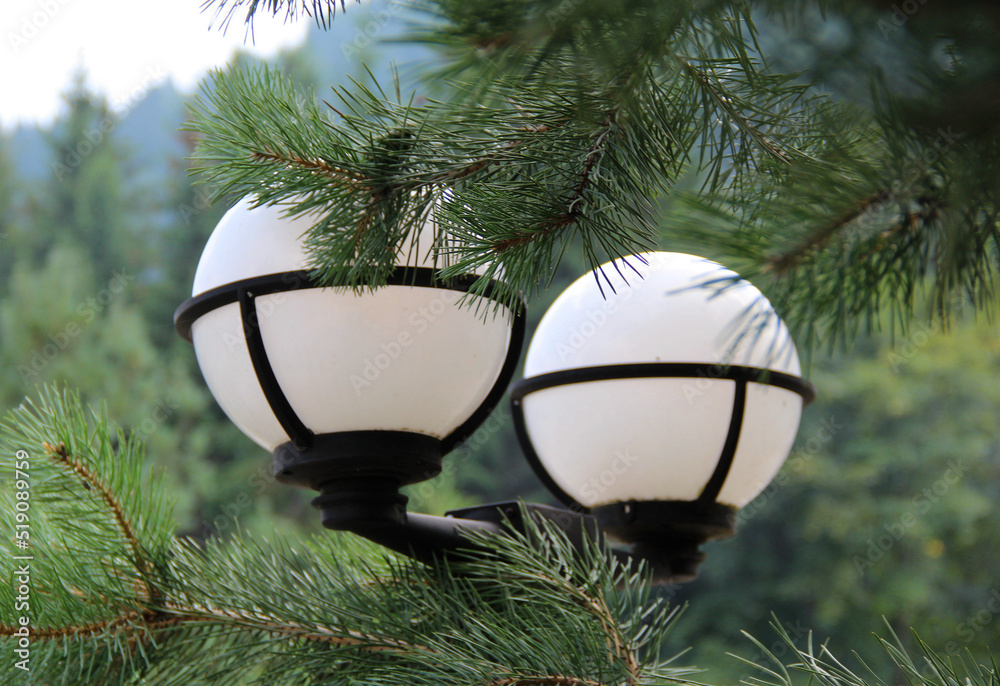 Round lanterns of street lighting among spruce branches in outdoor park ...