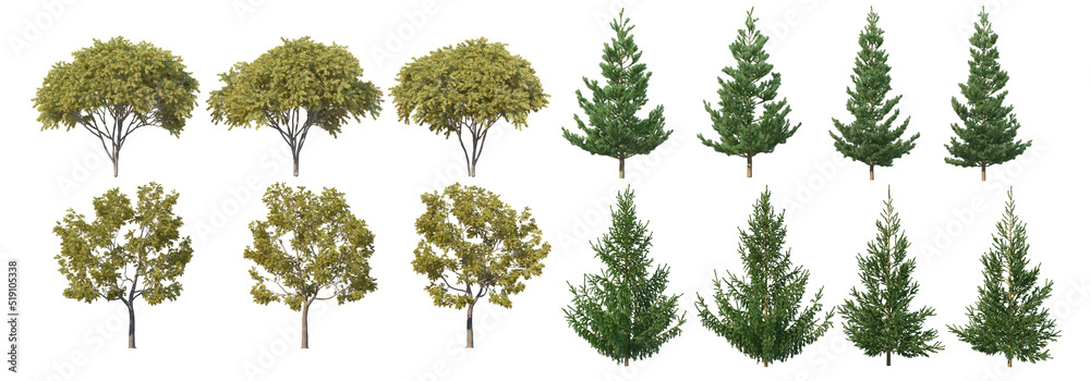 Poster Pine trees and trees with a white background – Wall Art | UkPosters