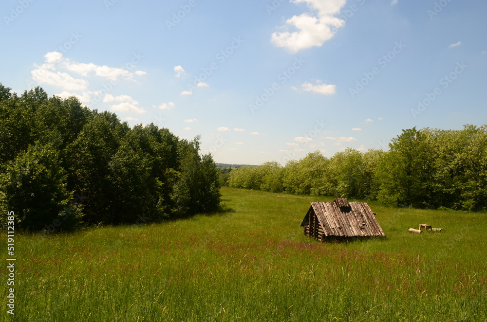 Old Ukrainian village. Rural summer landscape. Ukraine. National Museum ...