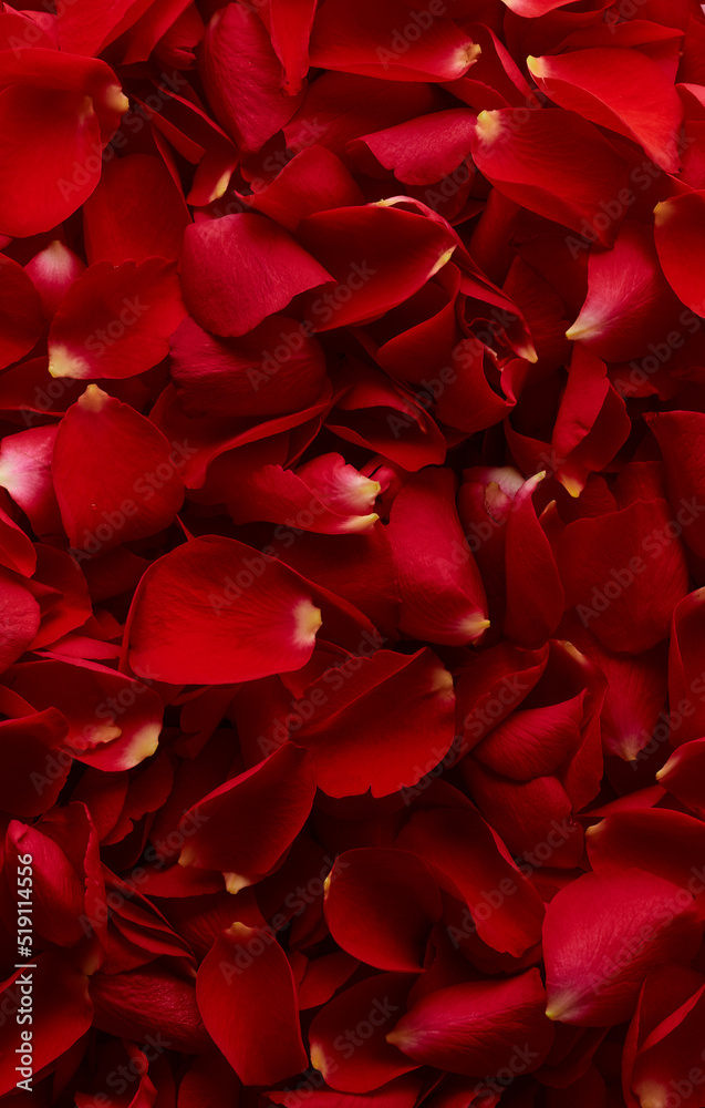 Red petals rose flower texture background Stock Photo | Adobe Stock