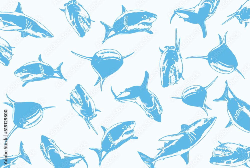 Graphical design with blue sharks, vector color illustration for ...