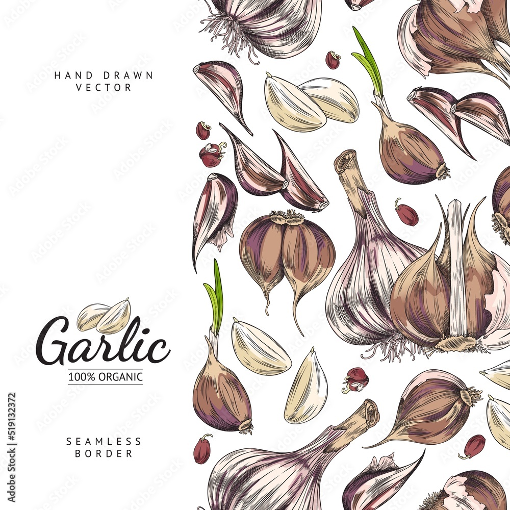 Vertical seamless border with hand drawn colorful garlic cloves and ...