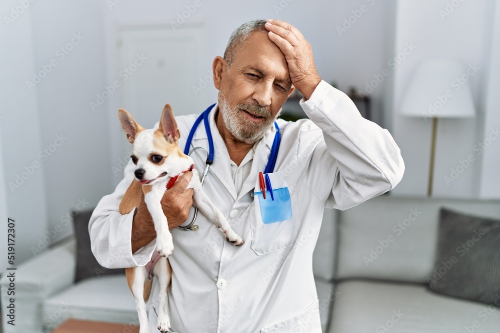 Mature veterinarian man checking dog health stressed and frustrated ...
