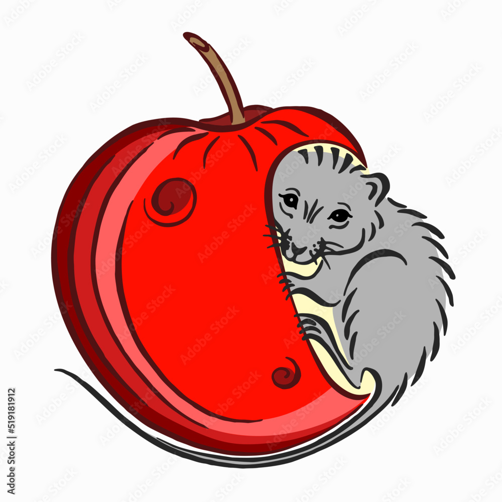 Rodent mouse vector illustration. Image of a cute grey mouse inside a ...