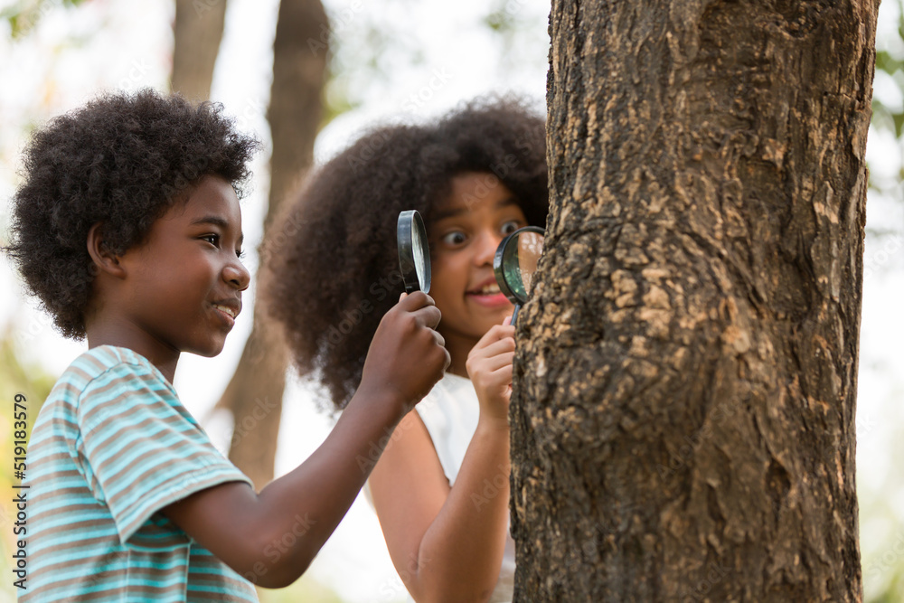 Teenager boy and girl examining the tree stem through magnifying glass ...