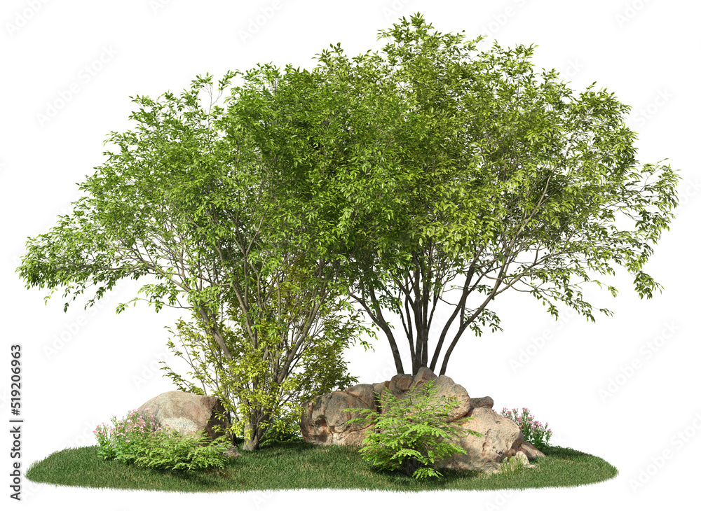 Group of trees among the rocks. Cutout trees isolated on white ...