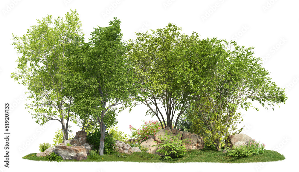 Group of trees among the rocks. Cutout trees isolated on white ...