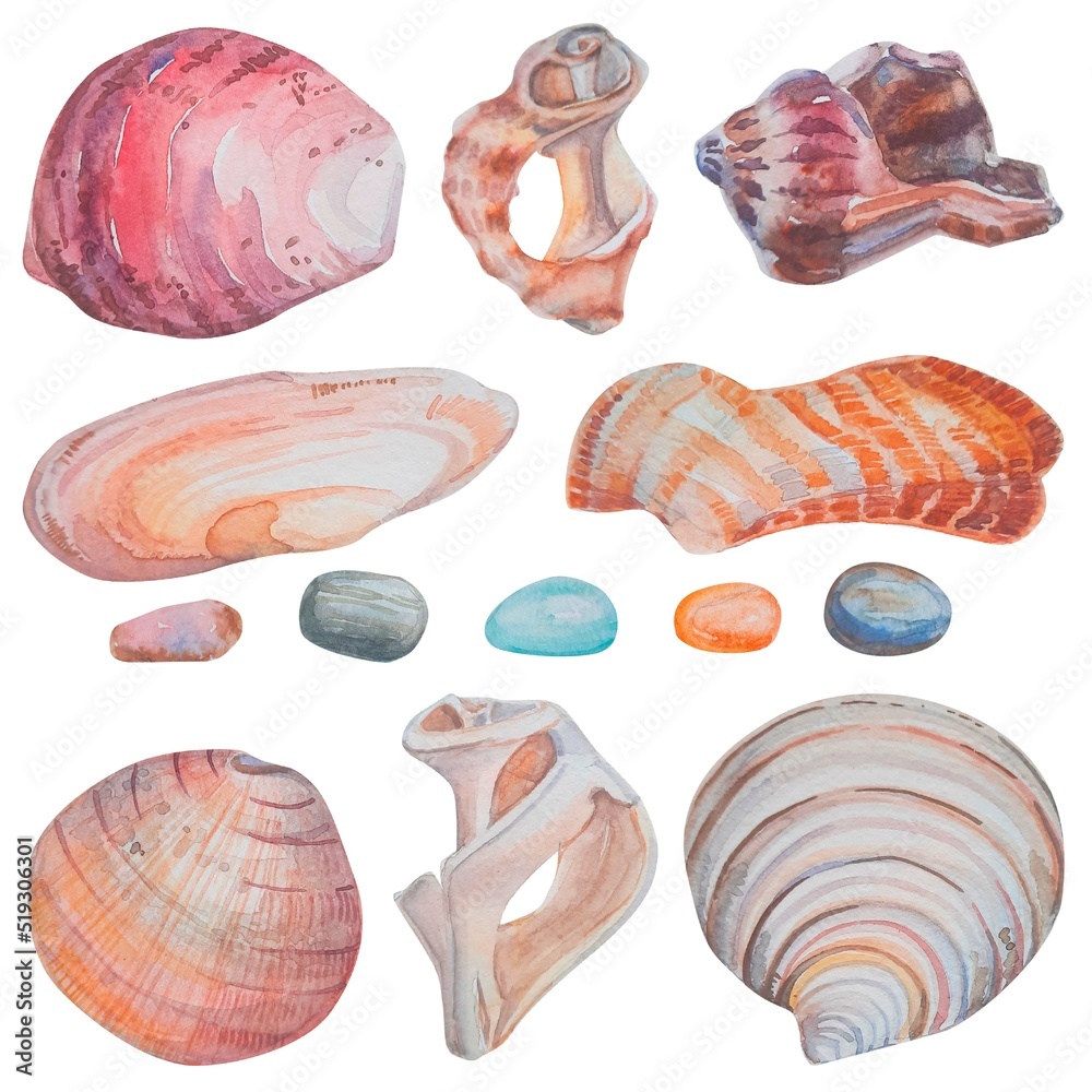 Watercolor set of sea and ocean life objects - various tropical ...