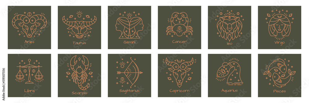 Zodiac astrology horoscope signs vector illustrations set. Elegant ...