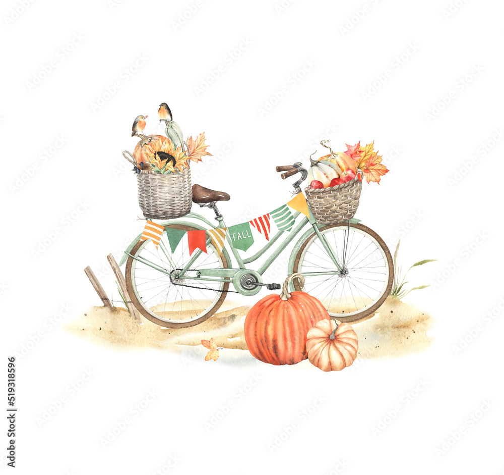 Autumn card with bicycle, wickers baskets, pumpkins, apples, robin ...