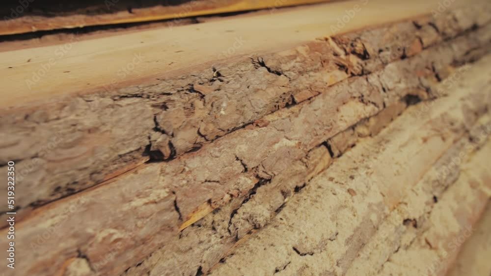 Wood factory stock and lumber board with nature business export the ...