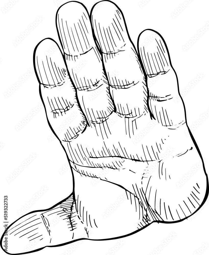 Close-up of open hand indicating alt. Hand language. Black and white ...