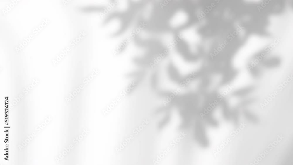 Summer concept the motion of leaves sunlight natural shadow overlay on ...