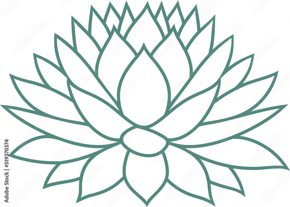 Blue agave outline. Isolated agave on white background Stock Vector ...