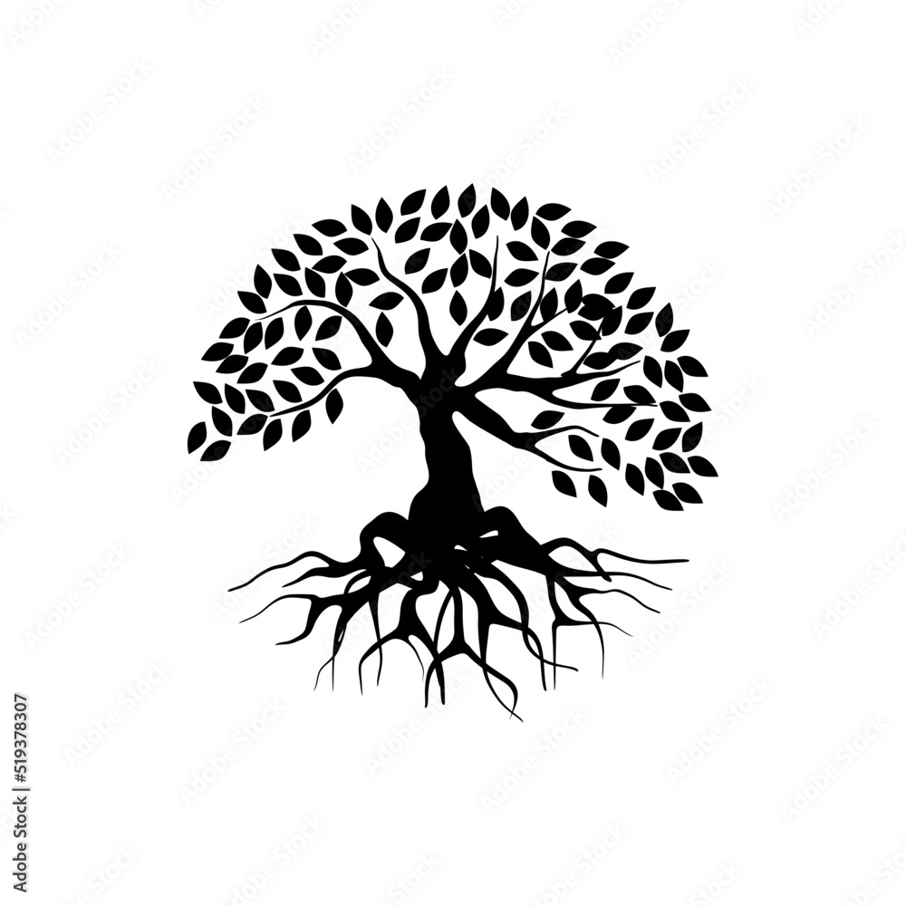 mangrove tree vector silhouette, black and white colors, obrazy ... mangrove tree vector silhouette, black and white colors, obrazy ...