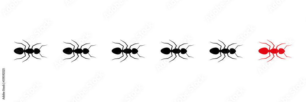 Ant leader trail. Worker ants colony line route teamwork. Vector ...