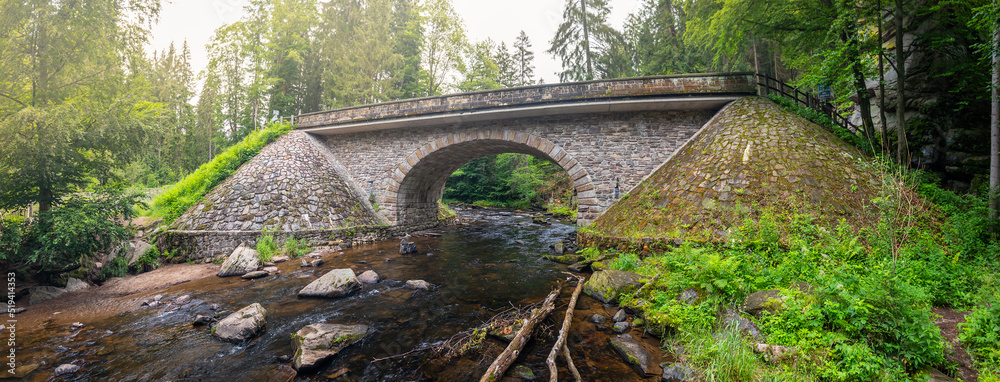 Stone bridge over the Divoka Orlice River in the Zemska brana Nature ...