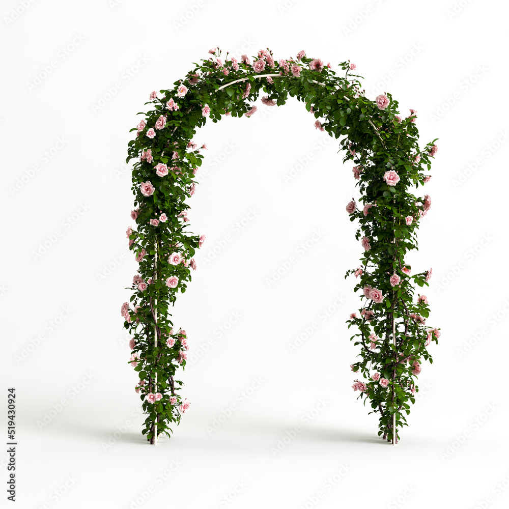 3d illustration of arch flowers isolated on white background Stock ...
