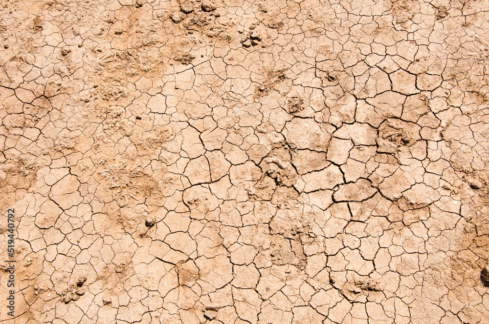 Dryland background. Dryland soil texture. Cracked dried dryland ground surface. Arid land Stock ...