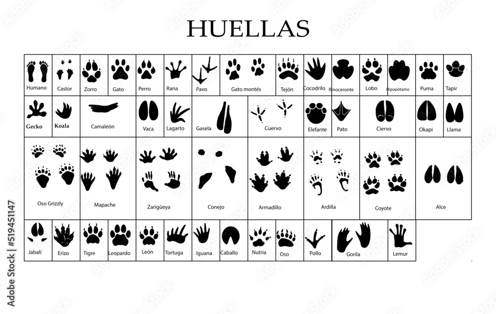 Poster Huellas de diferentes animales, silueta vectorial. – Wandbild ...