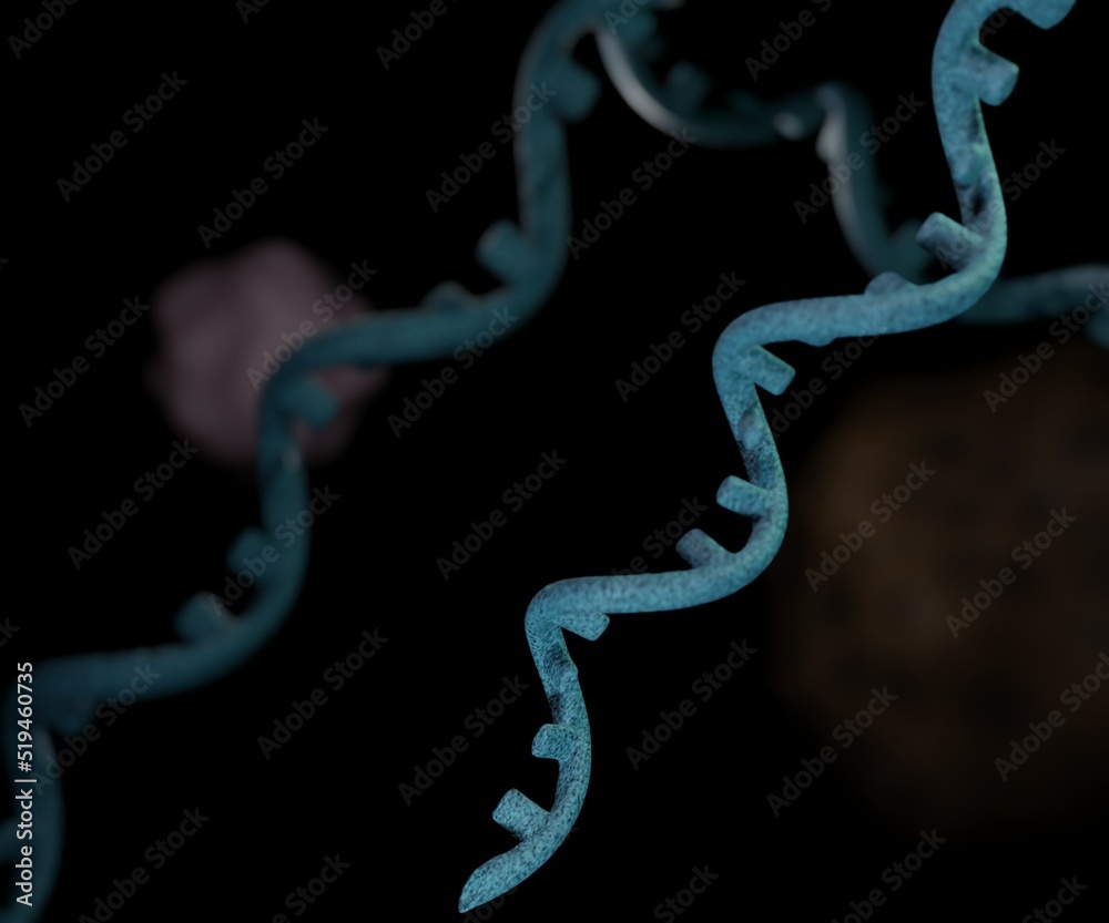 Mrna Single Stranded