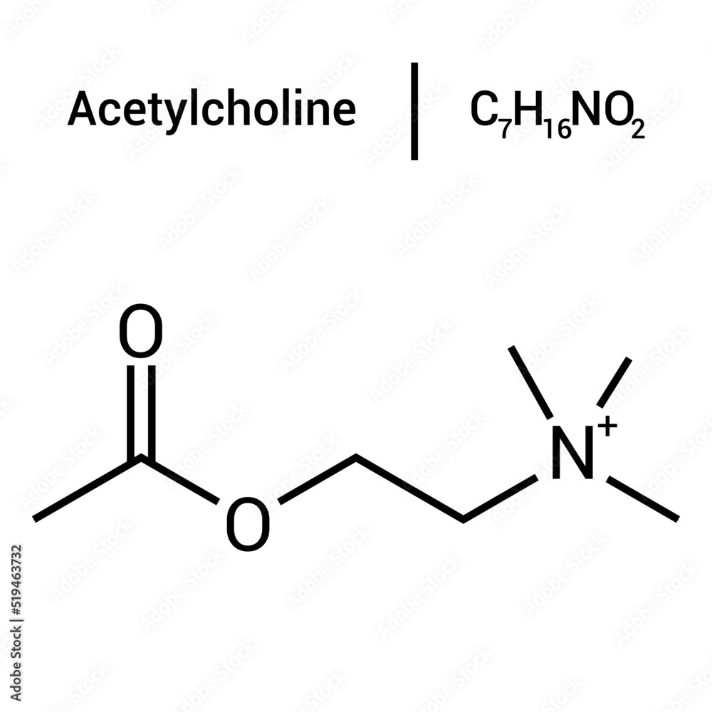 chemical structure of Acetylcholine (C7H16NO2) Stock Vector | Adobe Stock