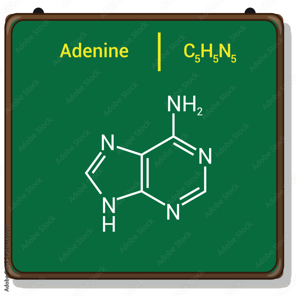 chemical structure of Adenine (C5H5N5) Stock Vector | Adobe Stock