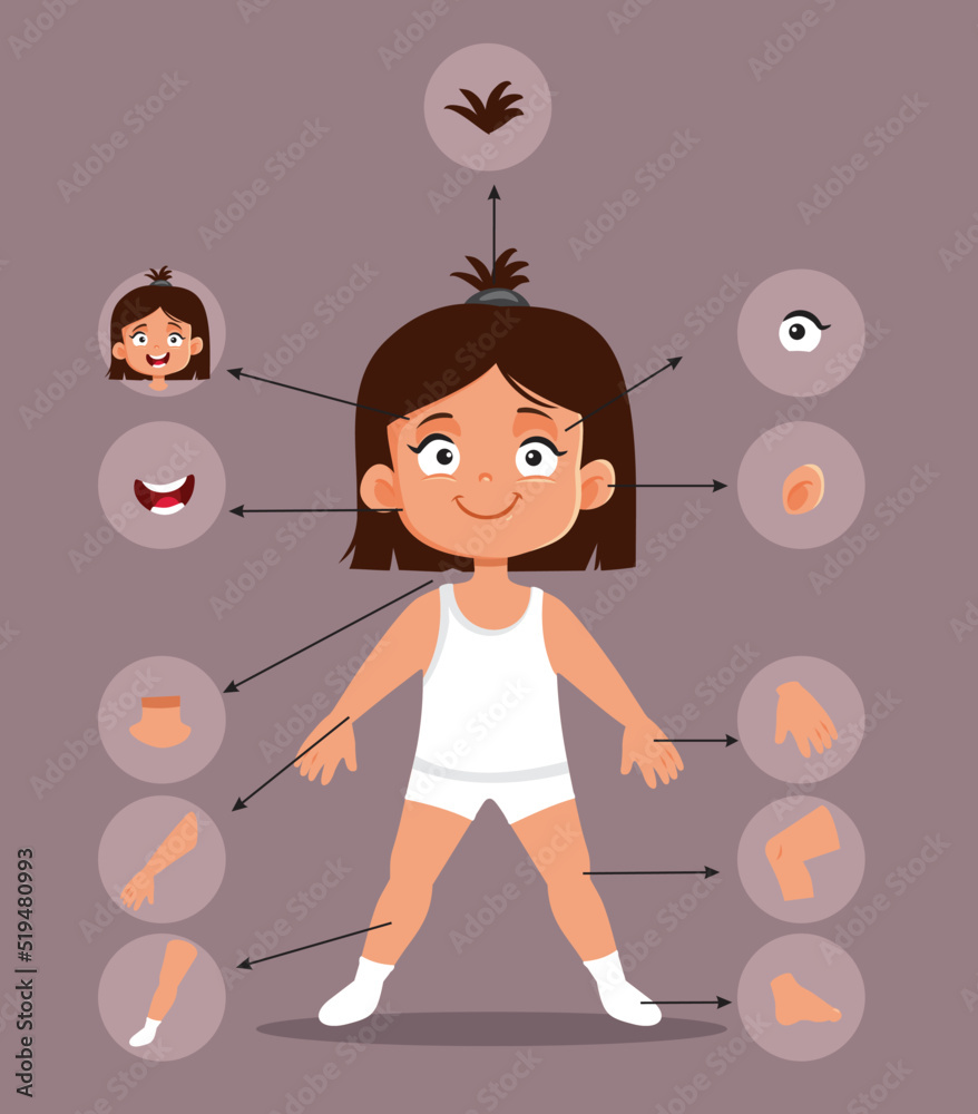Learning Anatomy Chart Vector Design Cartoon Illustration Stock Vector ...