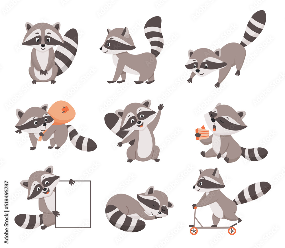 Set of cute character raccoon in different poses. Funny raccoon thief ...