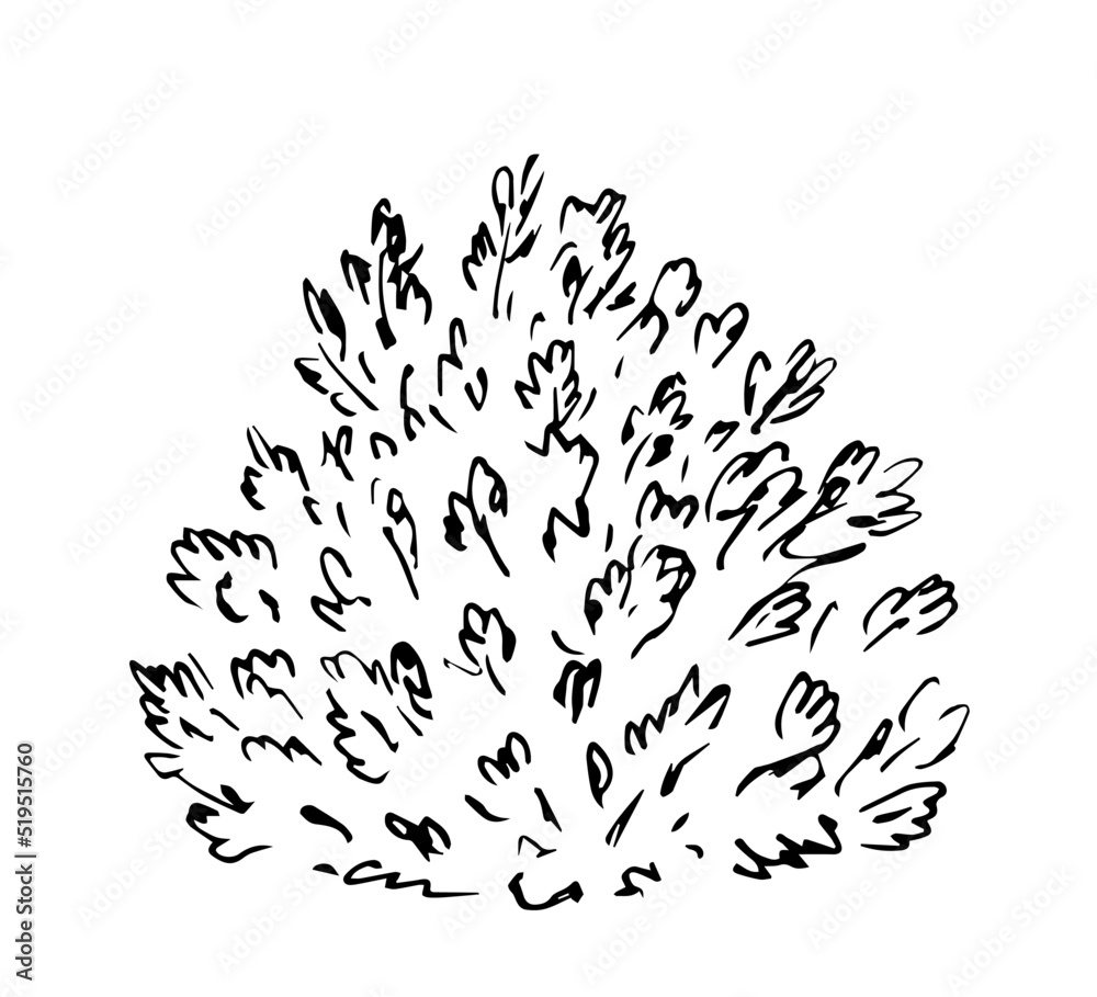 Simple hand drawn black outline vector drawing. Lush bush, vegetation ...