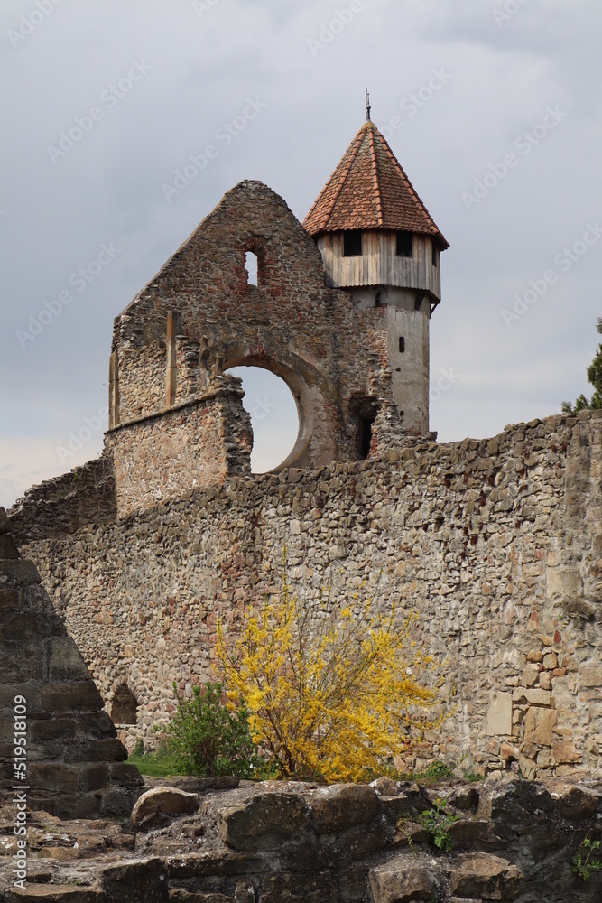 Carta Abbey - fortress historical landmark in Transylvania, Romania ...