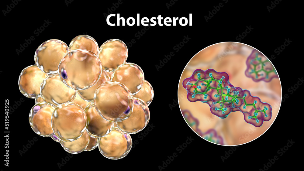 Fat adipose cells and molecule of cholesterol, 3D illustration Stock ...