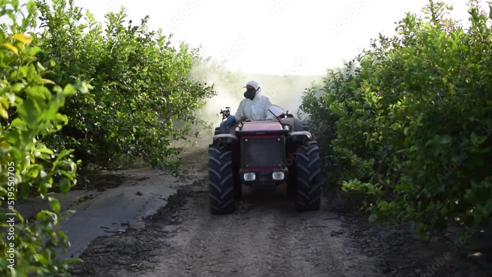 Tractor spray pesticide and insecticide on lemon plantation in Spain ...
