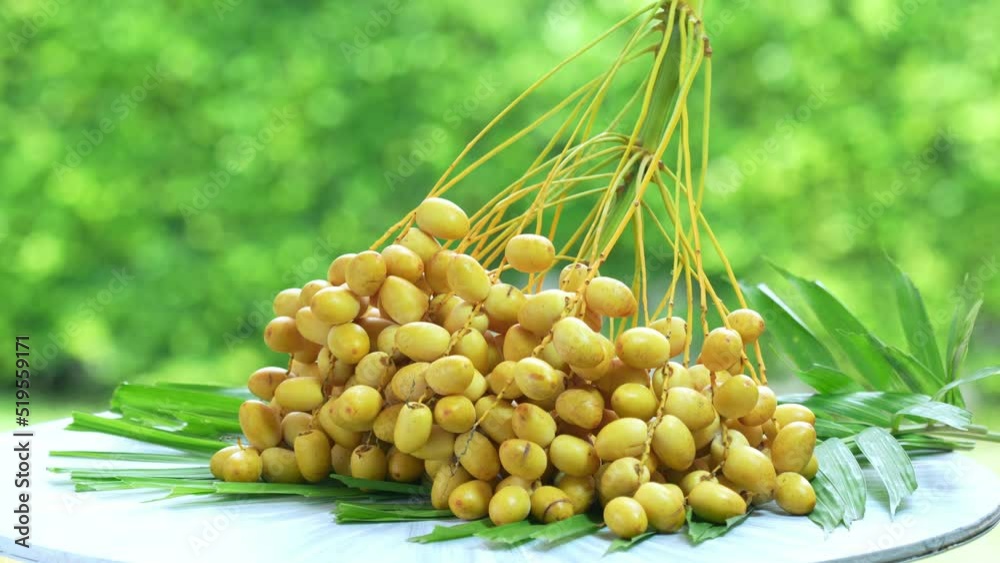 Yellow date palm in the basket with leaves on blur background, Fresh ...