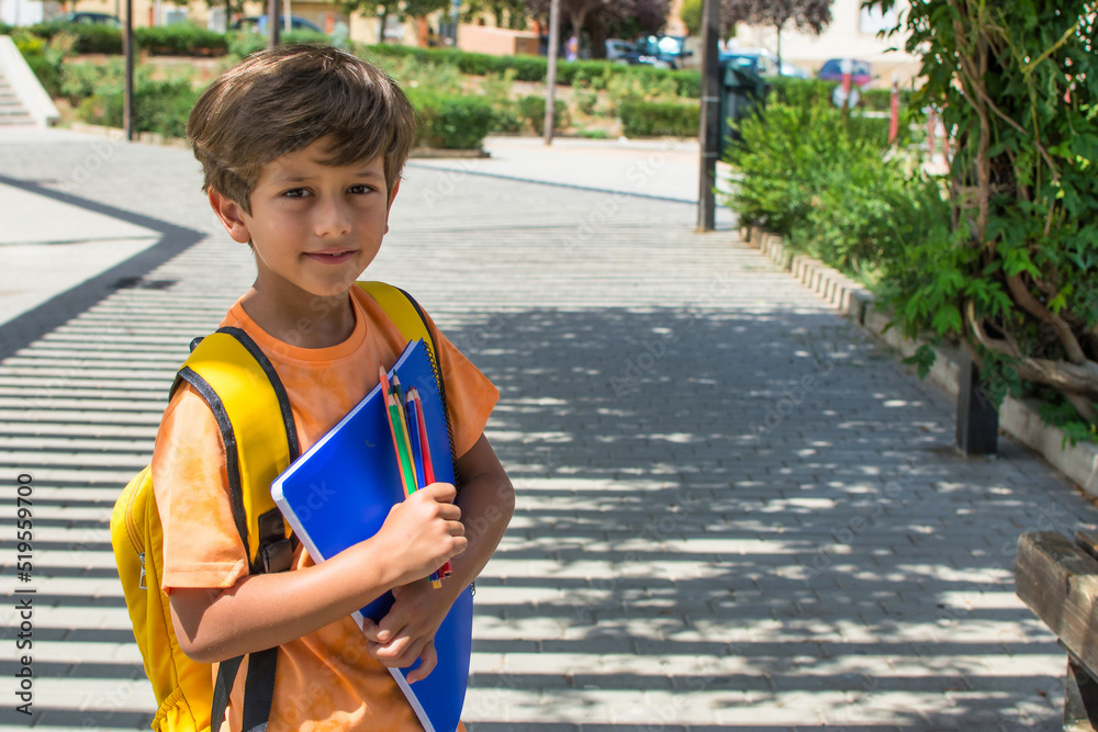 Toddler ready for first day of school. School boy looking at camera ...