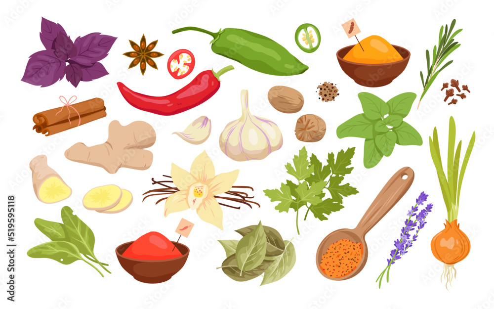 Spices, herbs and seeds set for cooking food vector illustration ...