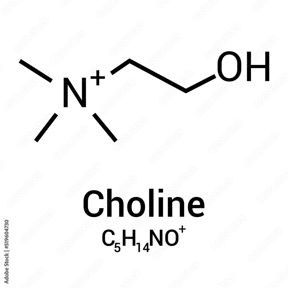 chemical structure of Choline (C5H14NO+) Stock Vector | Adobe Stock